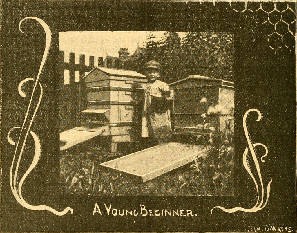 Essay Writing Tips: A Guide To Success - My Homework Help